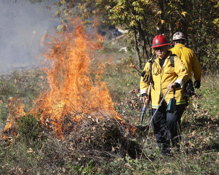 YTT tribe leads cultural burns as part of SLO restoration project. 'So ...