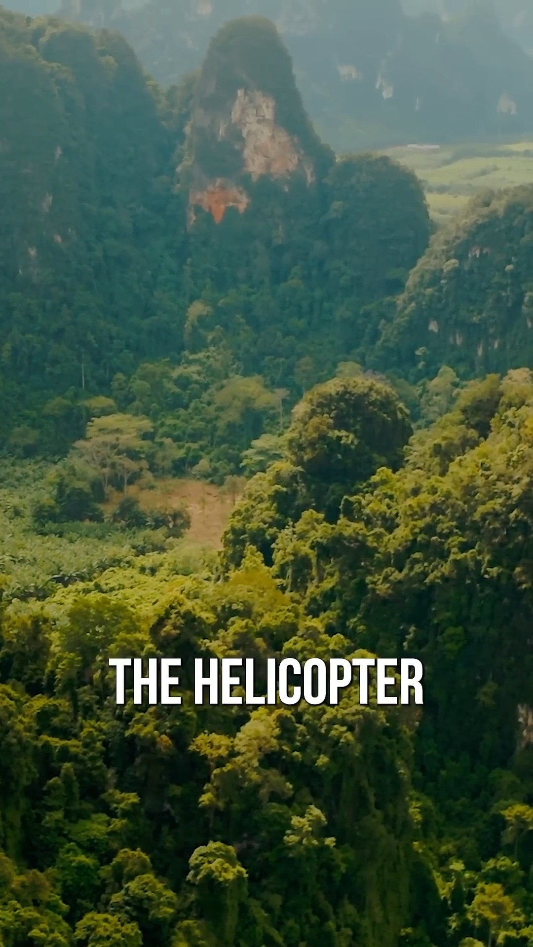 Wounded and left behind in Vietnam