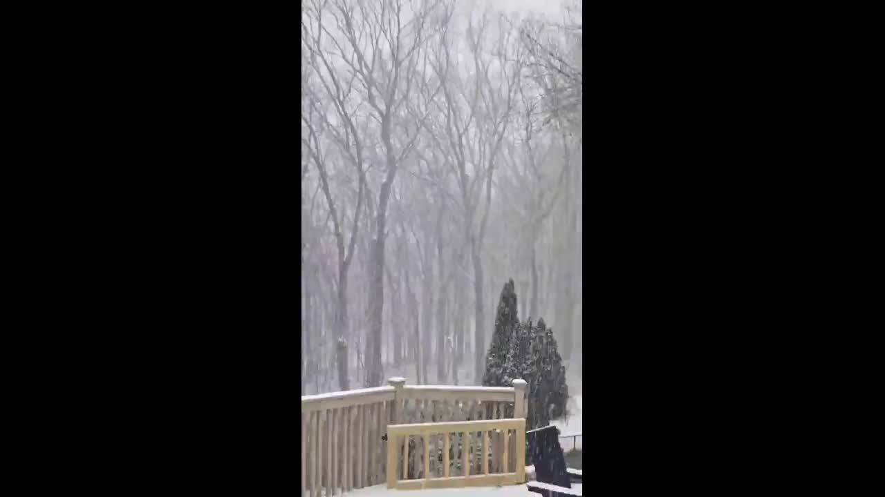 Heavy snowfall blankets backyard in Randolph, New Jersey, USA