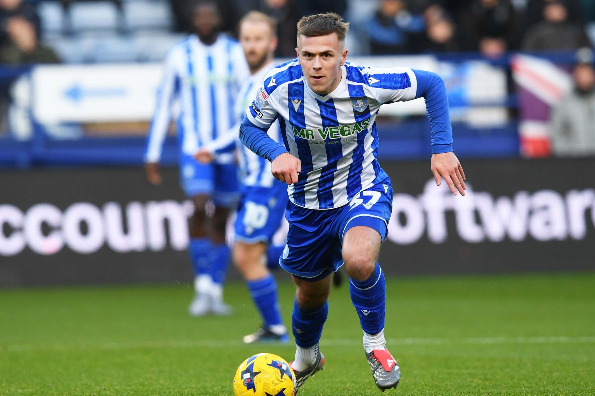 Sheffield Wednesday 2 Hull City 2: Plenty of spirit, but Owls need for ...