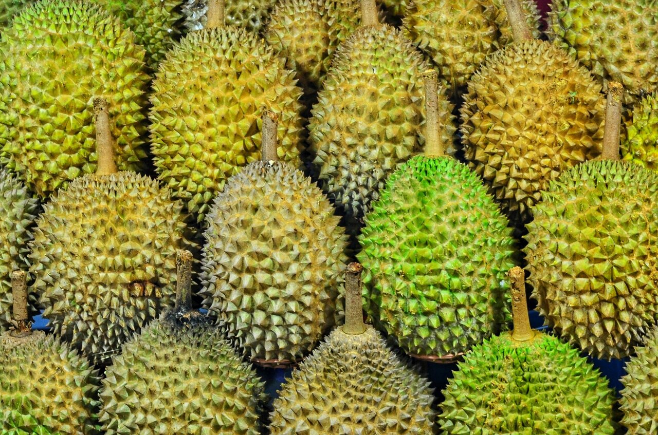 China's durian craze has turned this tropical fruit into a tool of ...