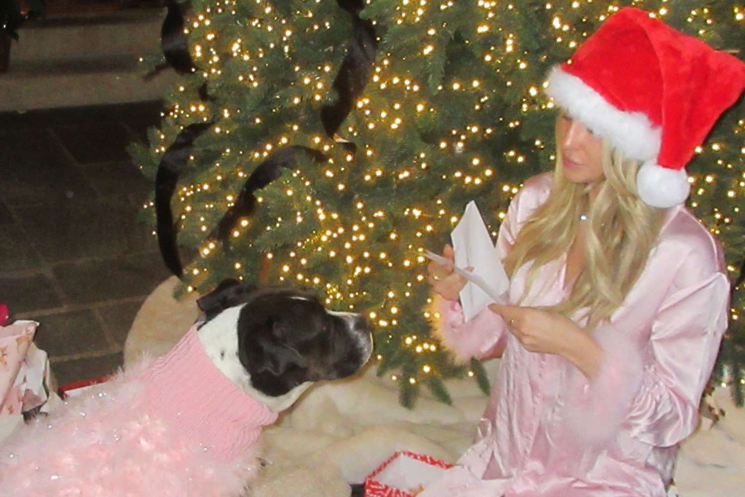 Alix Earle reads heartfelt letter to share update on her foster dog ...