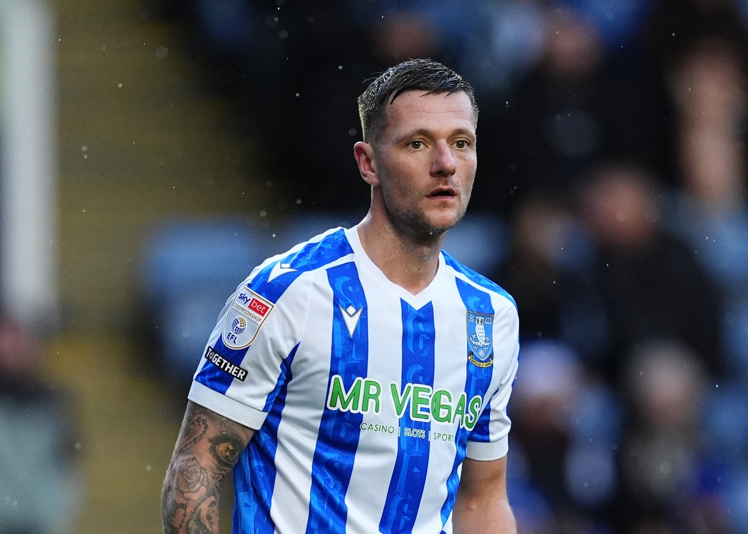 Gutsy Sheffield Wednesday deny promotion-chasing Hull