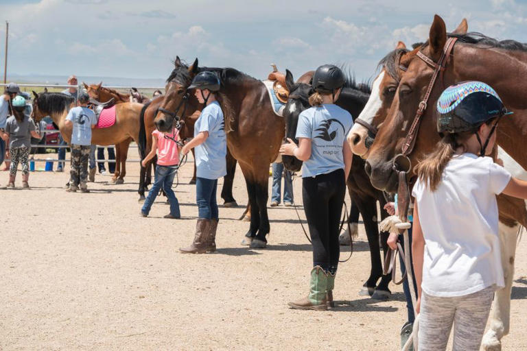 Mustang Ambassador Program launches Horses for Heroes pilot program for ...