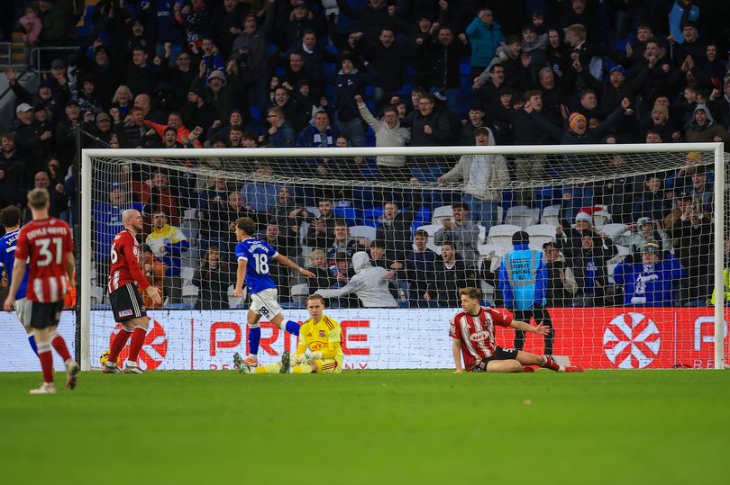 Cardiff City 1 Exeter City 0 - Grecians back in bottom four after ...