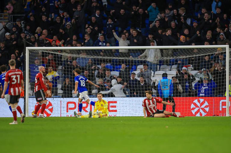 Cardiff City 1 Exeter City 0 - Grecians back in bottom four after ...