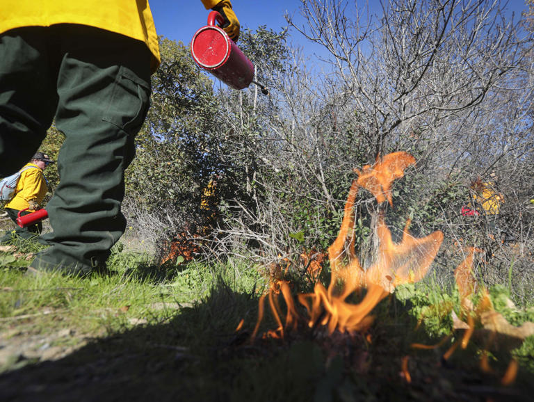 YTT tribe leads cultural burns as part of SLO restoration project. 'So ...