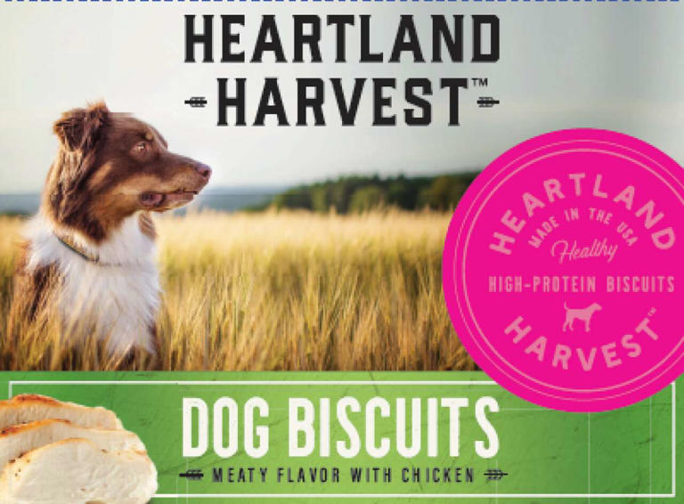 Two dog biscuit products recalled in 7 states including Texas due to ...