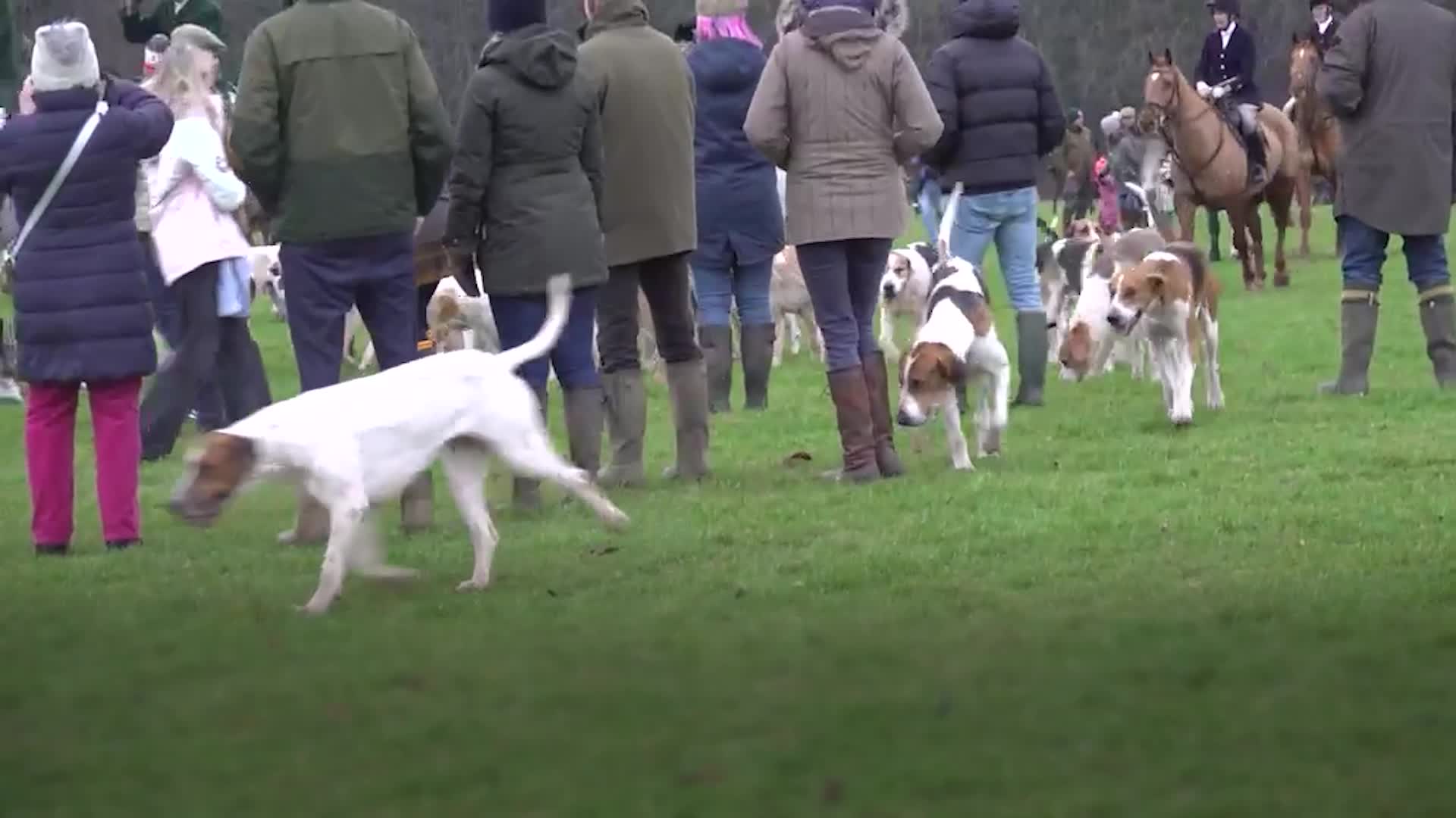 Boxing Day hunts vow to 'fight' trail ban as Starmer warned over rural ...