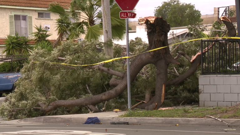 Second of two Christmas week storms and more rain