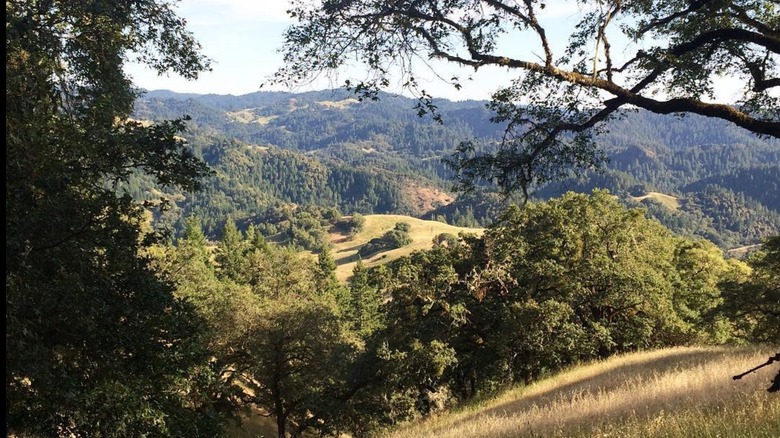 California's remote lake getaway is a pristine hidden gem tucked away ...