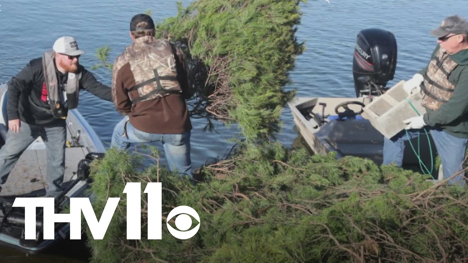 Here's how to dispose of real Christmas trees in Arkansas