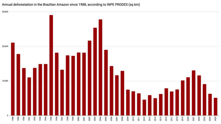 The year in rainforests 2025: Deforestation fell; the risks did not