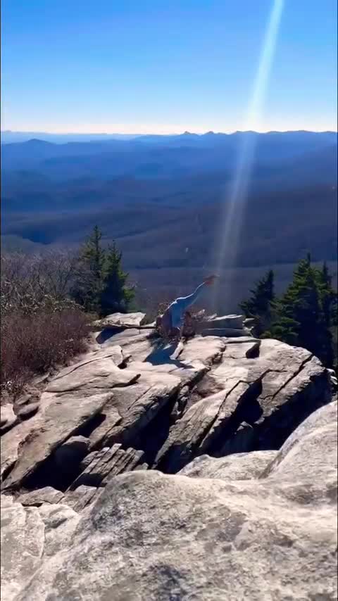 How to yoga flying crow one legged crow variation arm balance for ...