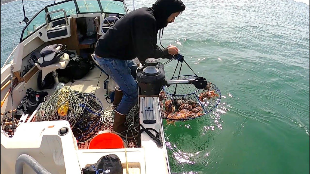 Crab attack! Found the ultimate spot