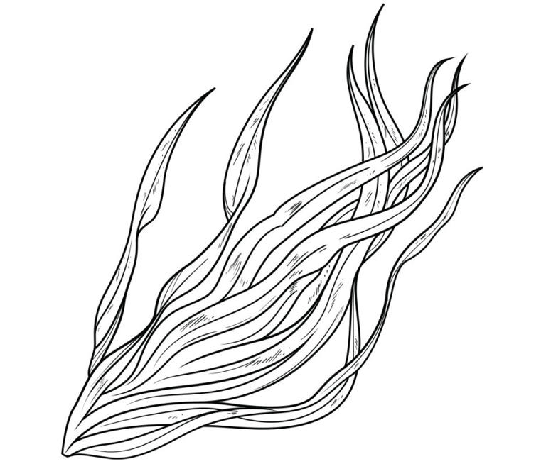 This simple seafood shift could shrink your carbon footprint, according ...