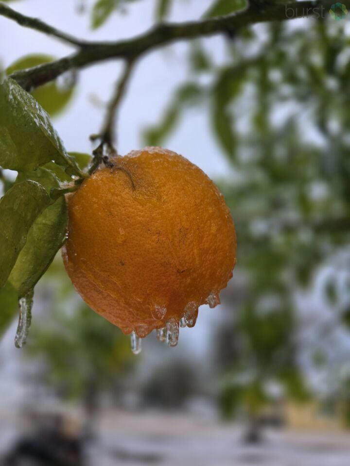 Buresh blog: A weather review of 2025