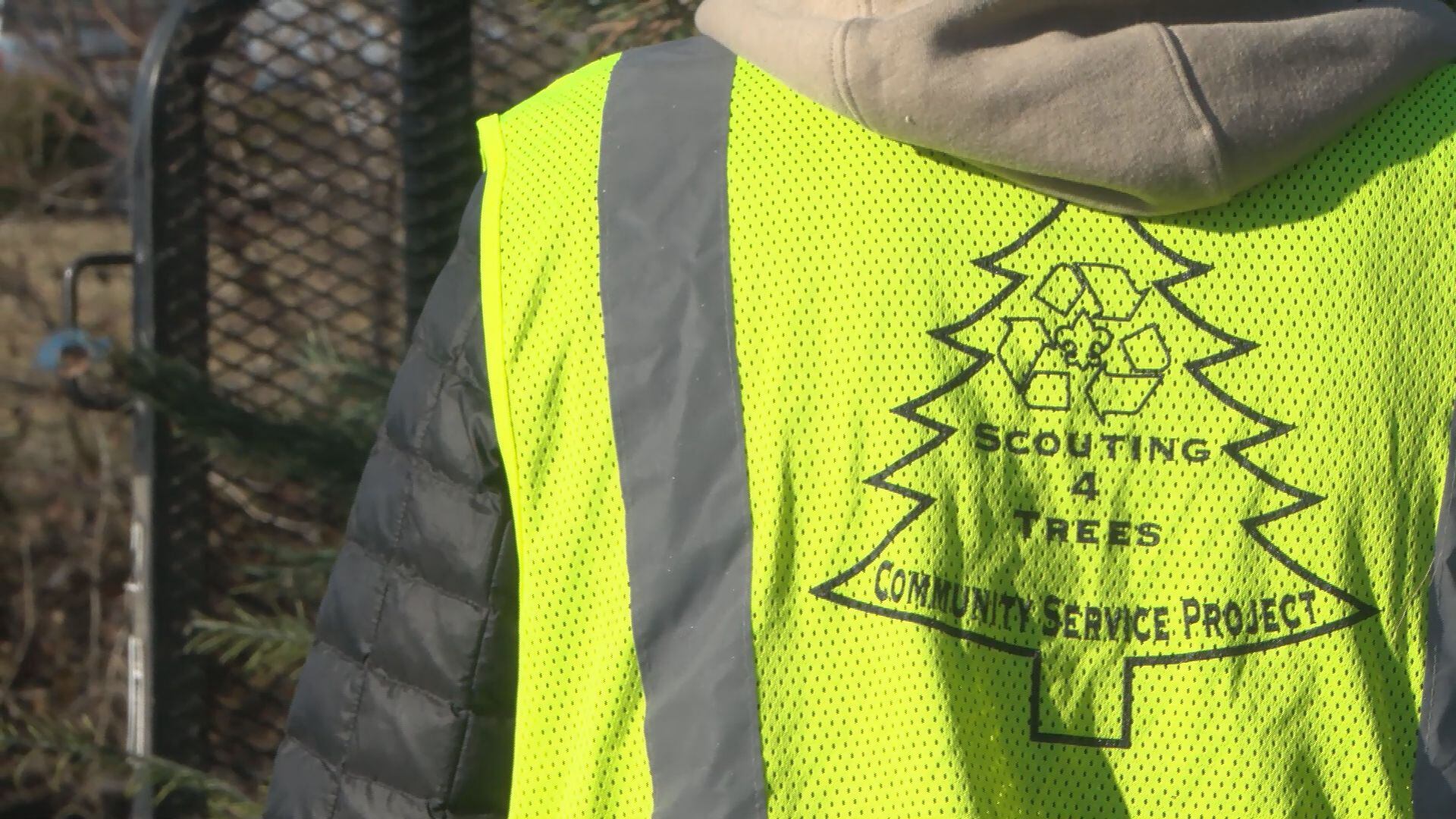 Lincoln Boy Scout troop continues 11-year Christmas tree cleanup tradition