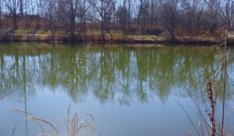 Families flock toward outdoor activities during a stretch of record ...