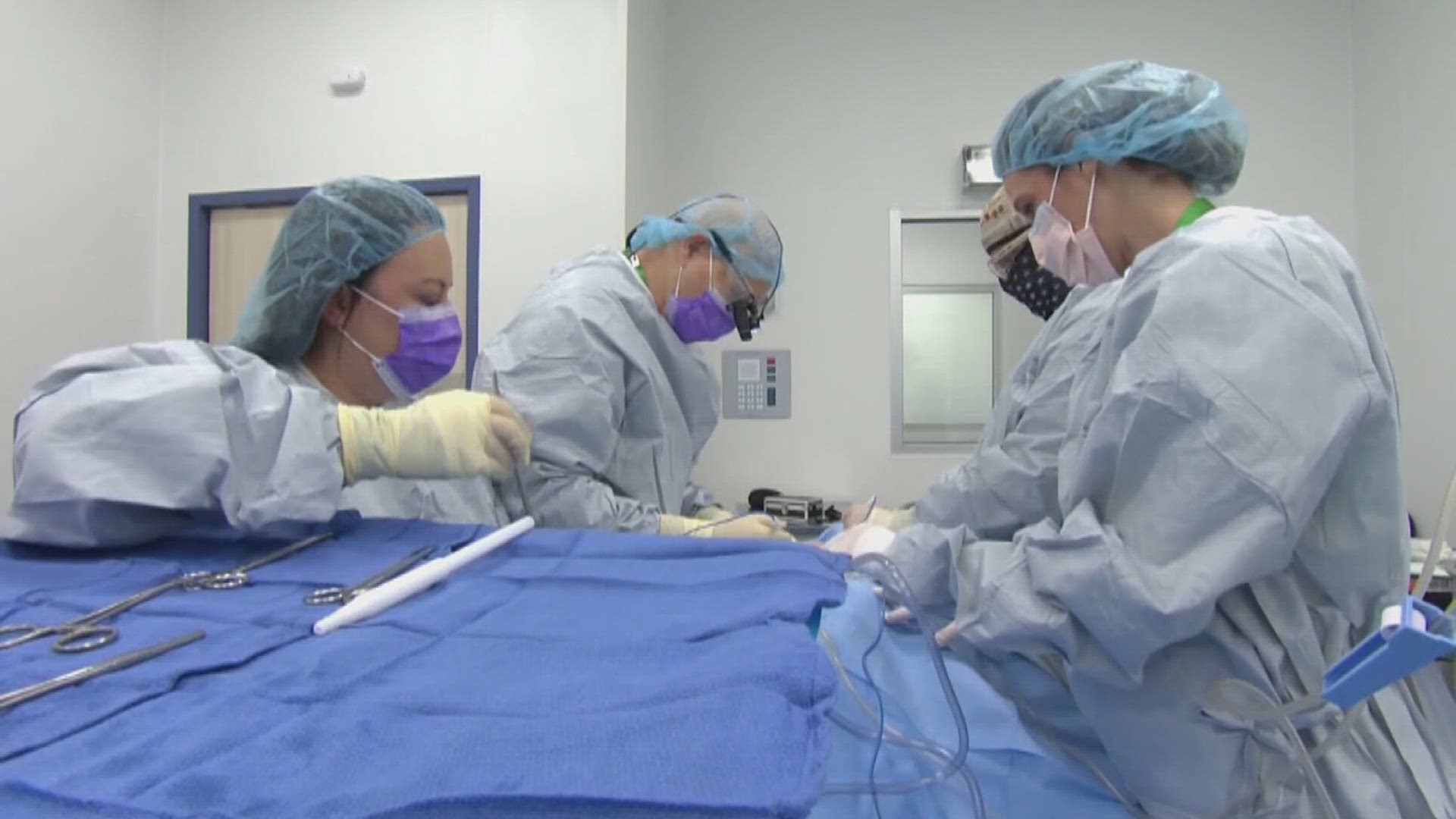 New Illinois labor laws for neonatal care and organ donors