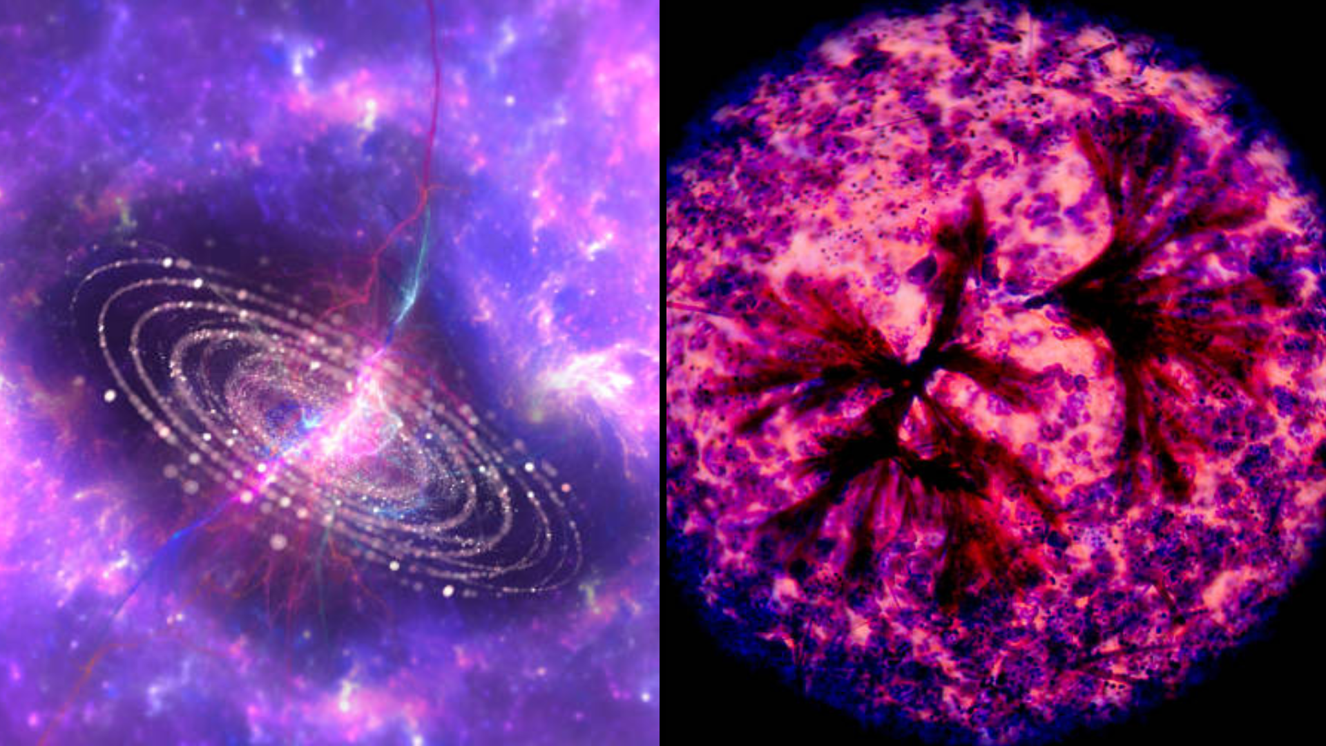 Astronomers expose the strange science behind the universe’s ‘radio relics’