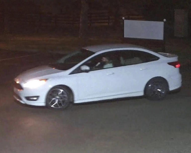 Lexington-Fayette Animal Control searching for people who abandoned ...