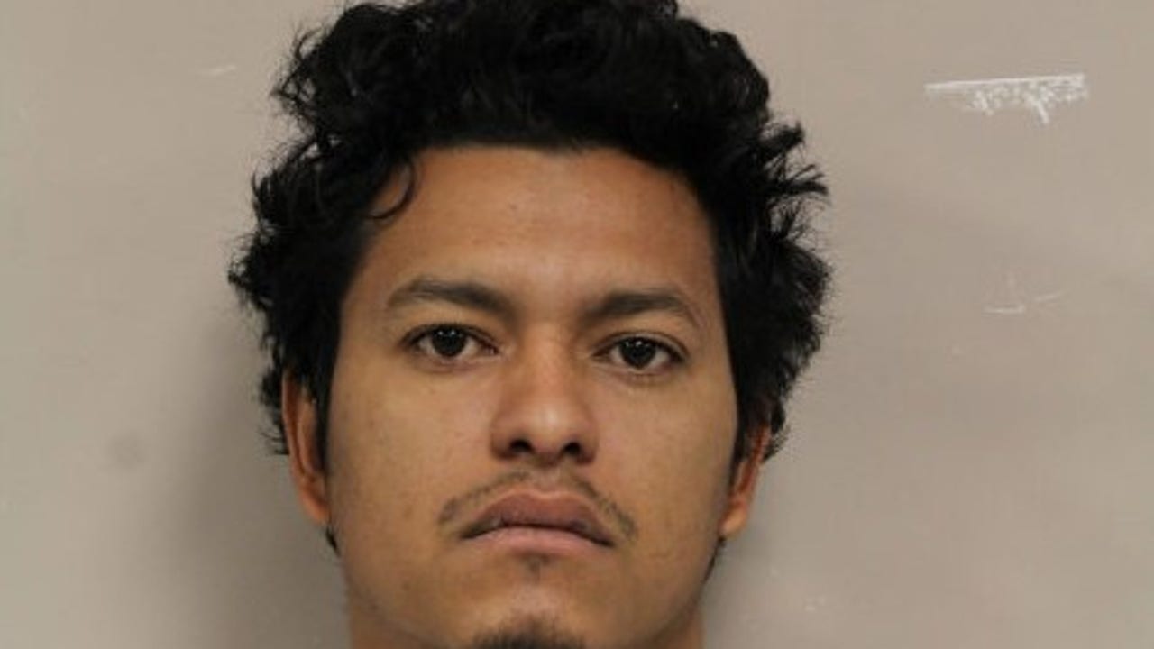 Palatine man charged with kidnapping, sexual assault in Christmas Eve ...