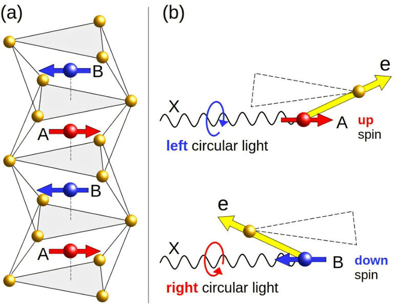 Detecting the hidden magnetism of altermagnets