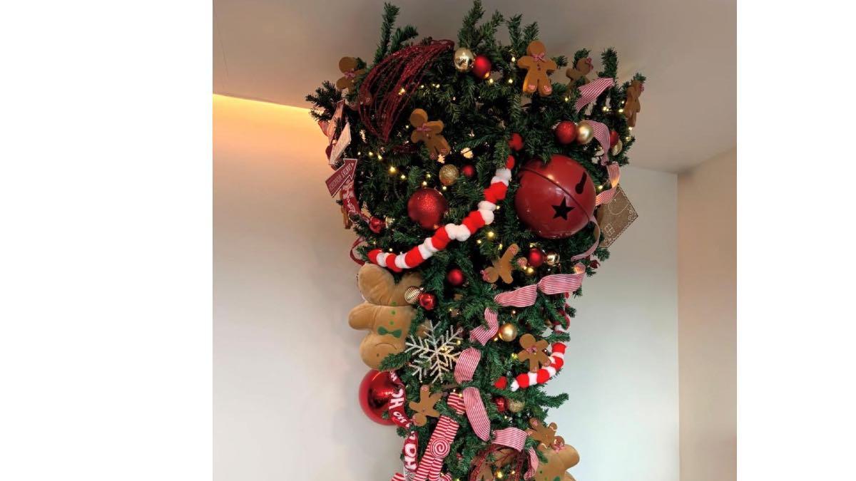 José Eduardo Derbez coloca su árbol de Navidad al revés y desata ...