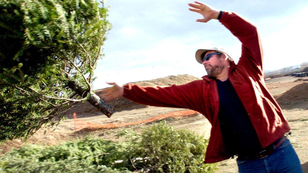 Denver Treecycle Program makes holiday cleanup easy, provides mulch for ...