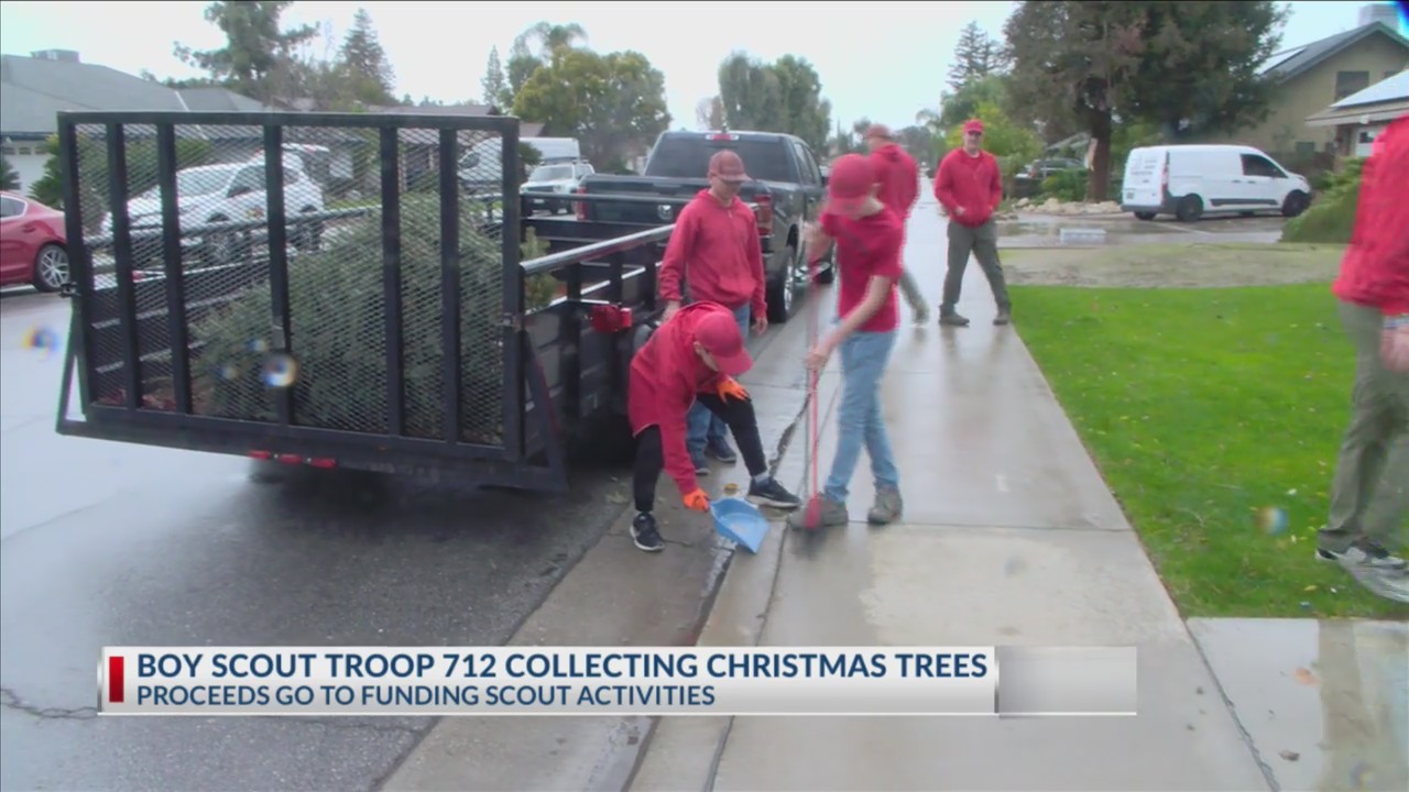 Boy Scout Troop 712 collect Christmas trees