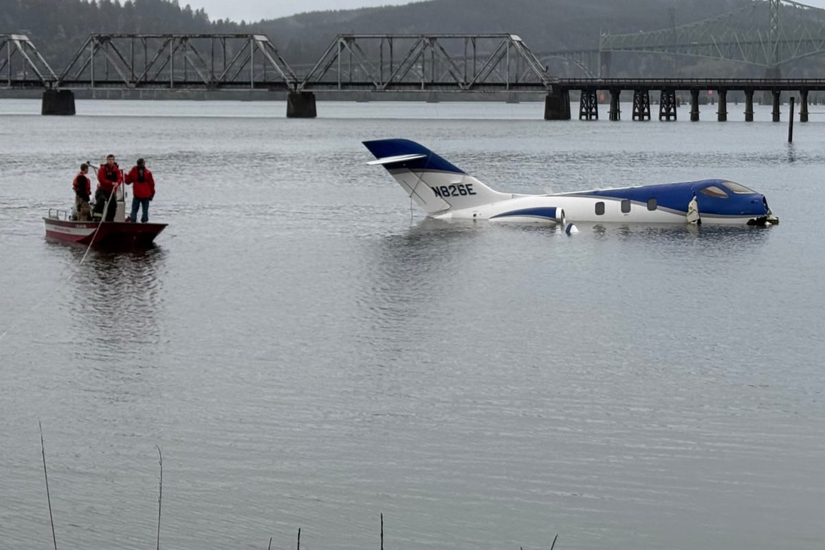 Übers Ziel hinausgeschossen: Business-Jet geht am Ende von Landebahn baden