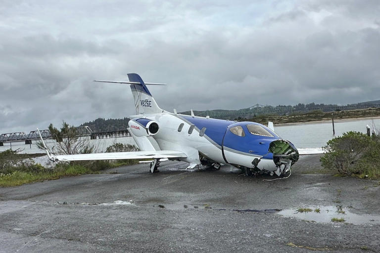 Übers Ziel hinausgeschossen: Business-Jet geht am Ende von Landebahn baden