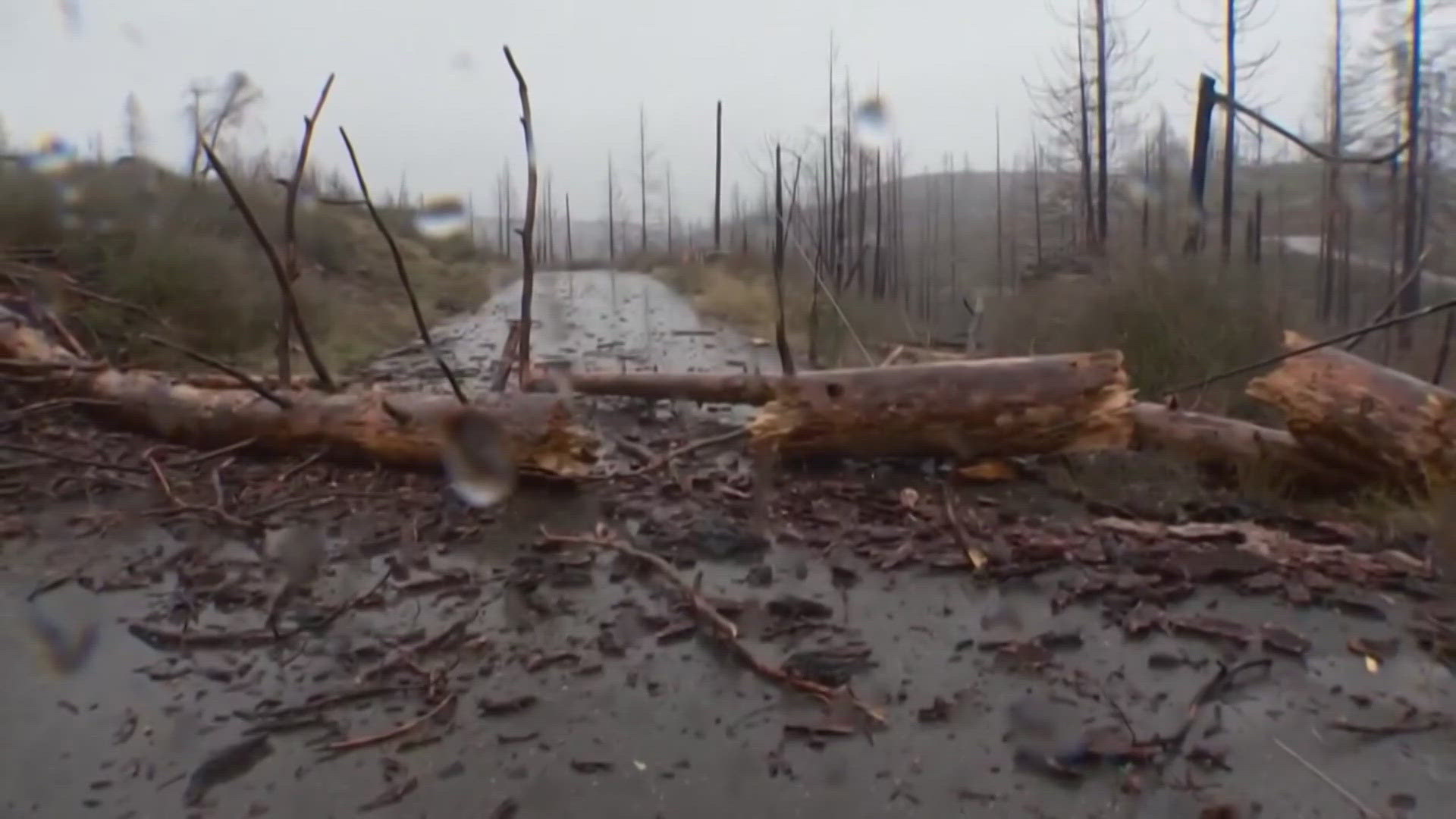 California's intense winter storms turned some roads into rivers of mud