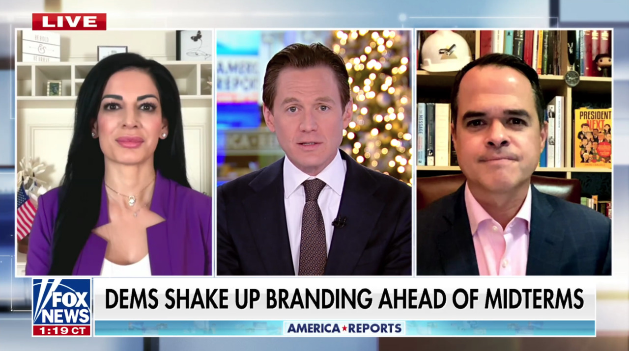 Dems shake up branding ahead of midterms as critics warn strategy could ...
