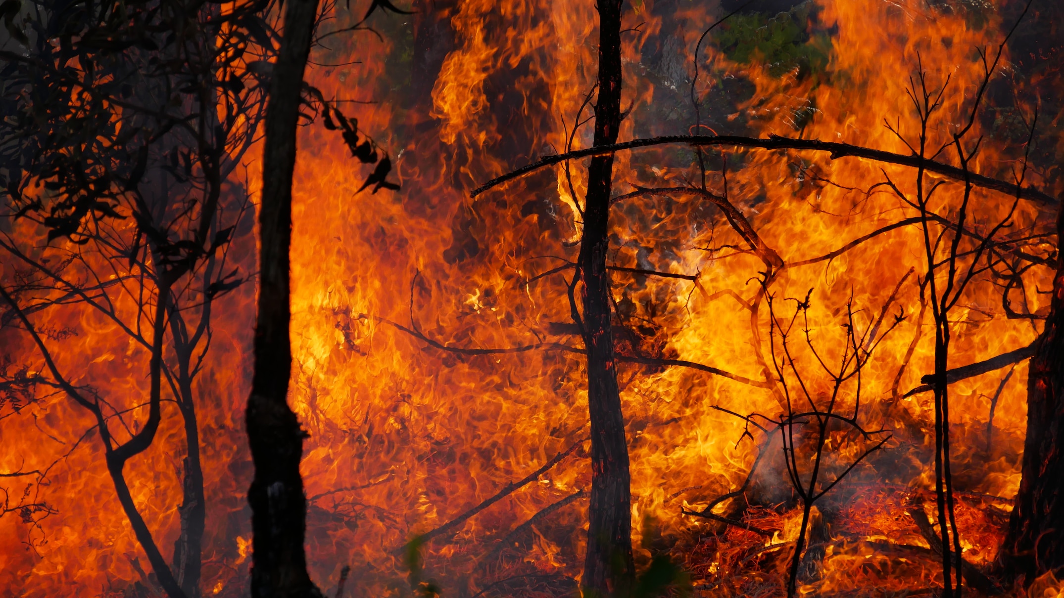 These volunteer firefighters keep communities safe. Here's why