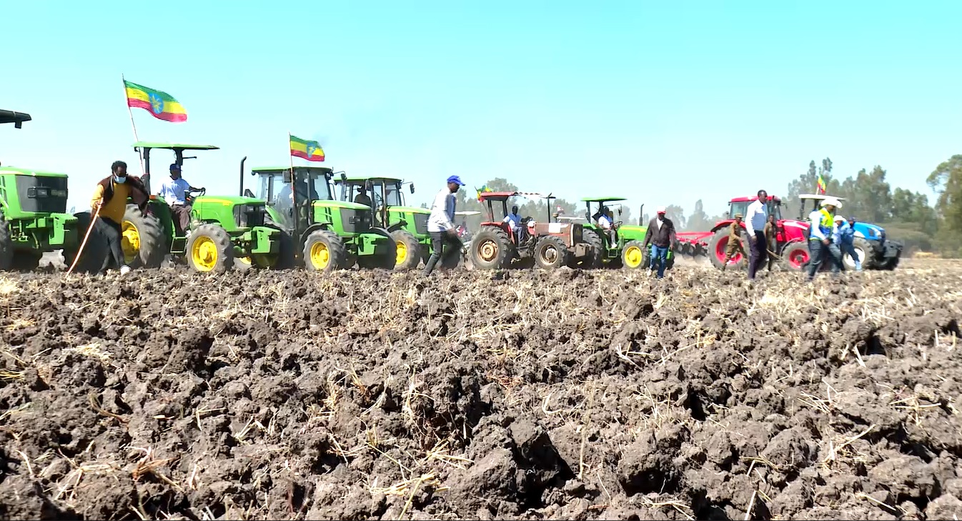 Irrigation wheat farming strengthens Ethiopia's drive for food ...