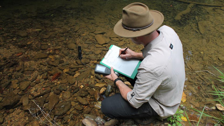 This tiny ancient fish only lives between two waterfalls in one river ...