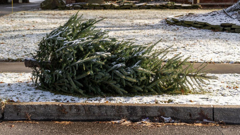 Where to properly dispose of holiday waste in central Ohio