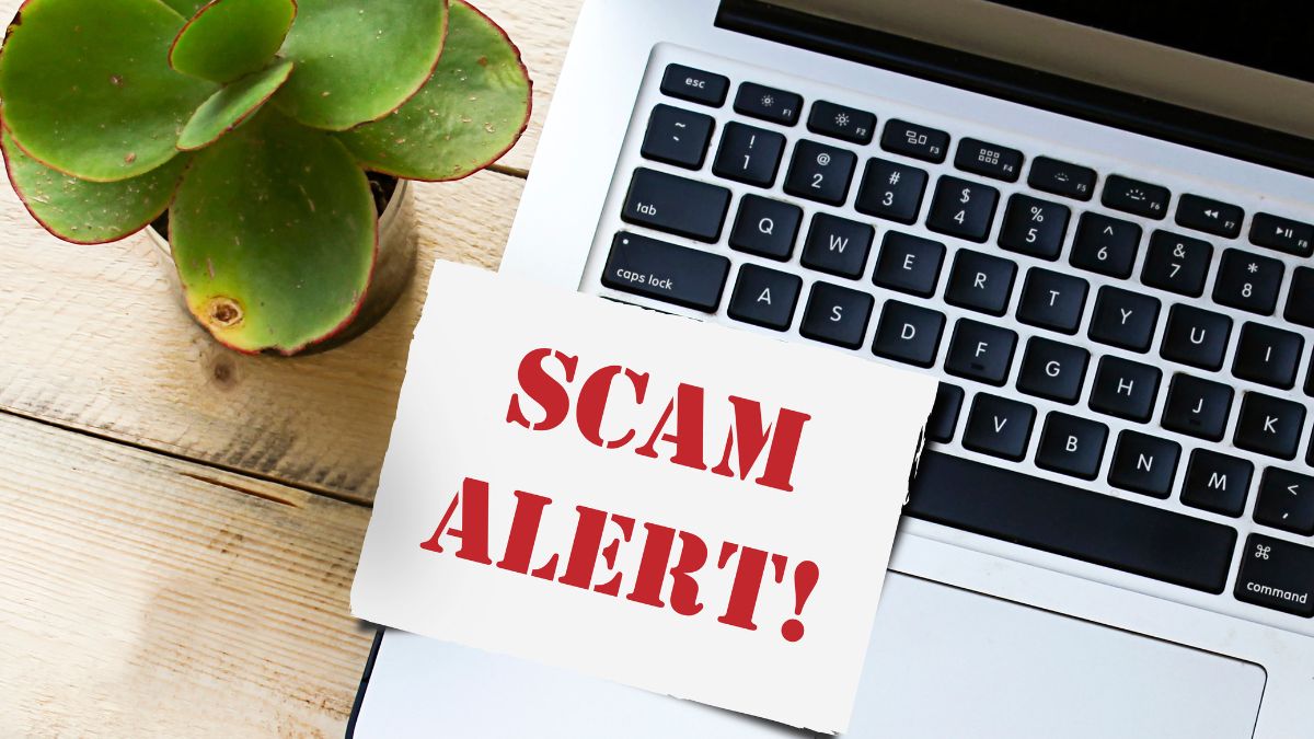 Year-end deadline scams target wallets: How to protect yourself