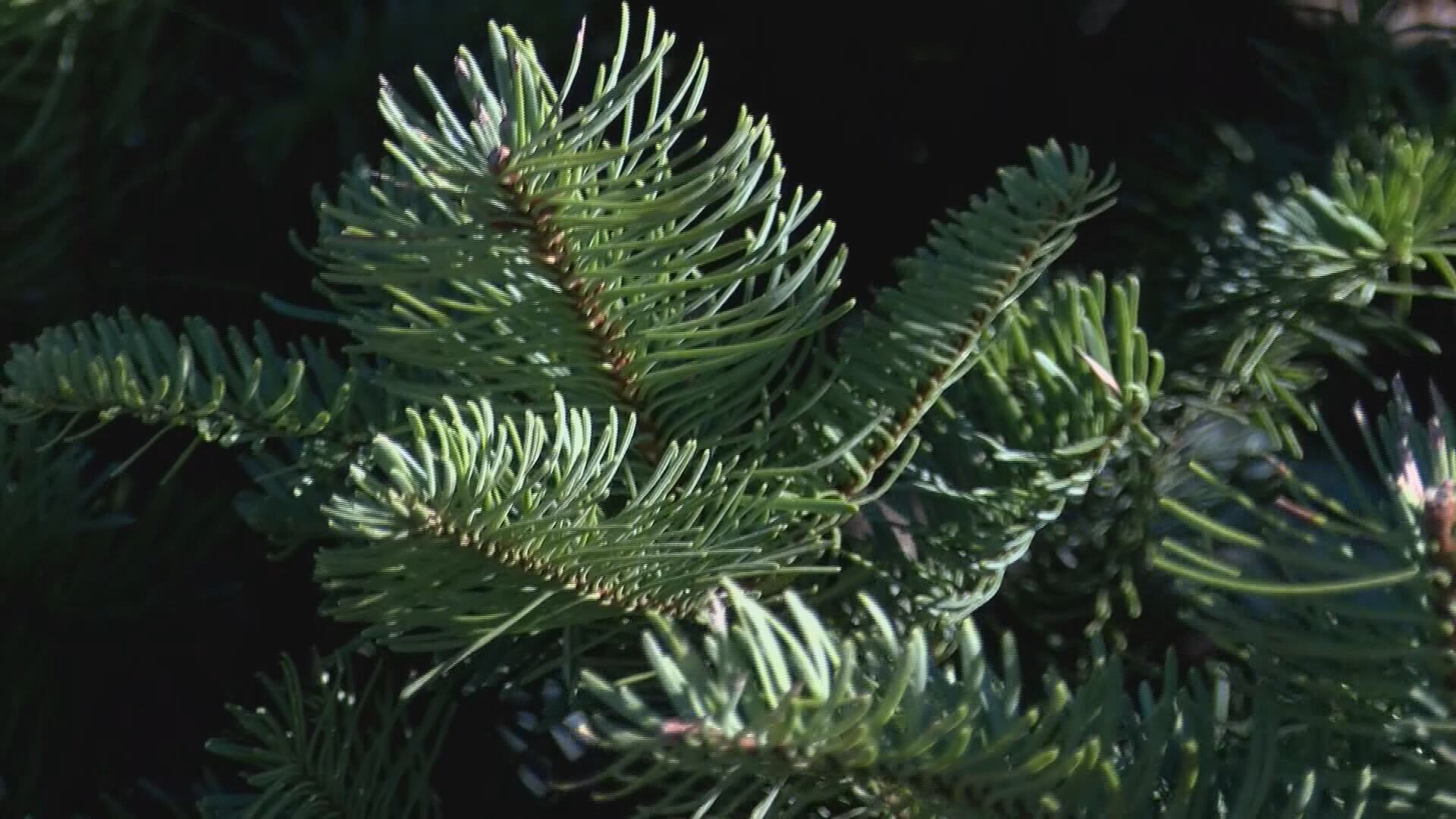 Odessa Fire Rescue talks safety as we head towards 2026