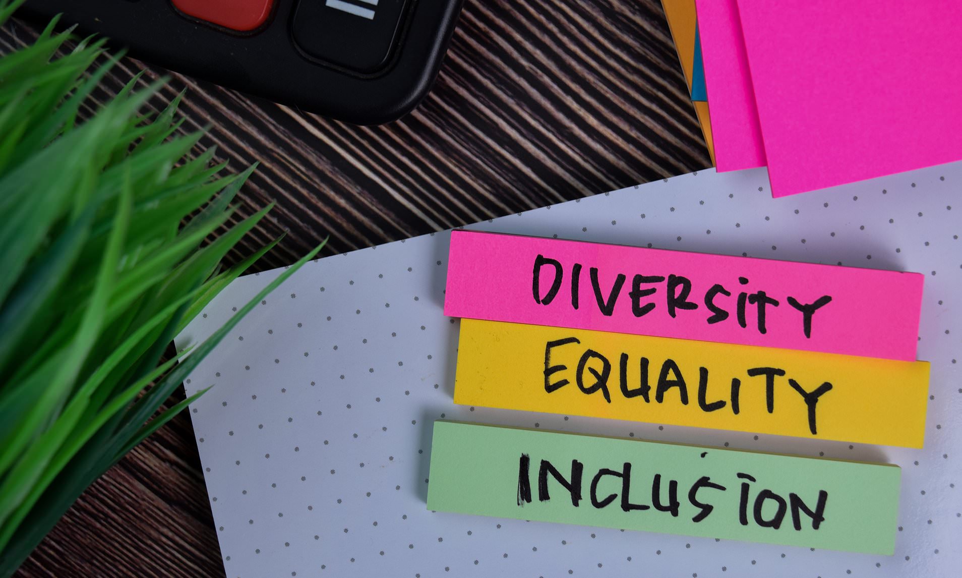 Pensions Regulator puts on 225 different 'woke' events last year after ...