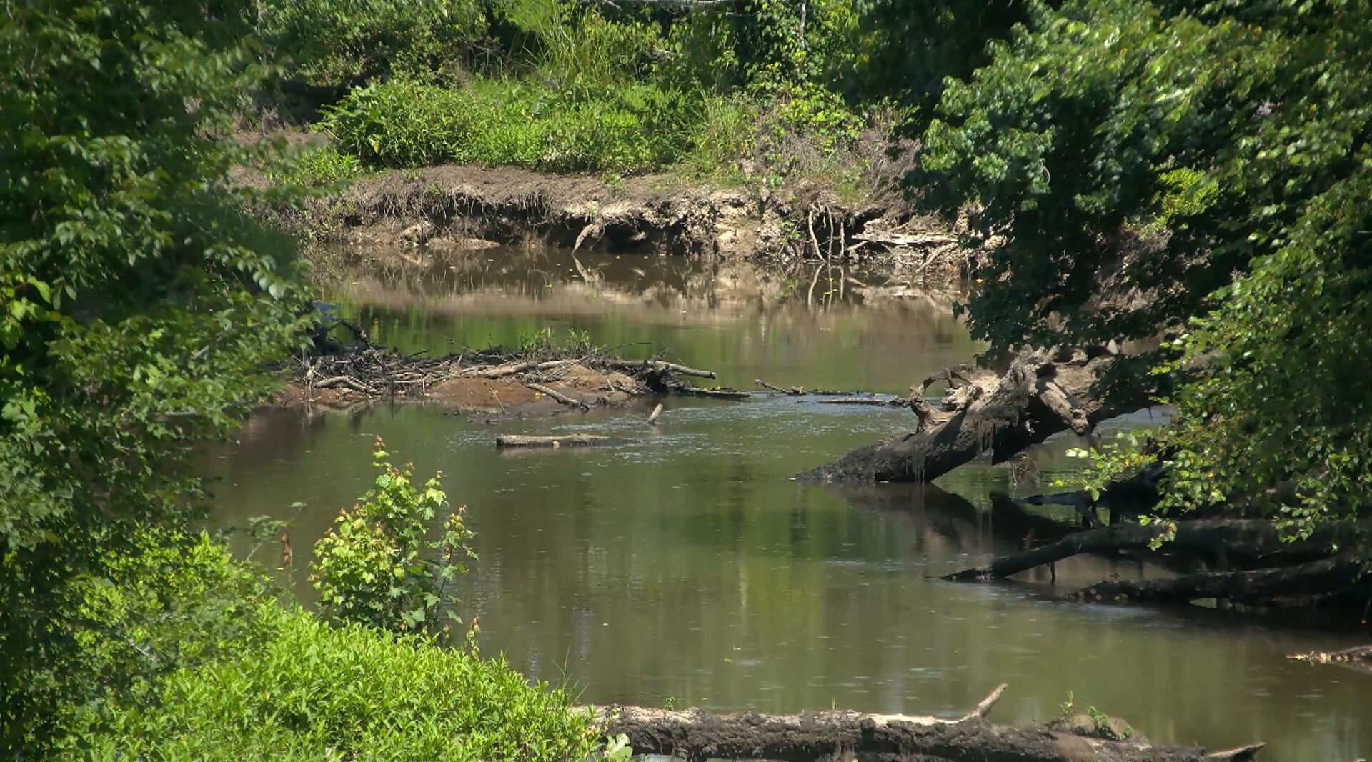 Conservation group sues EPA over forever chemicals in Commonwealth water