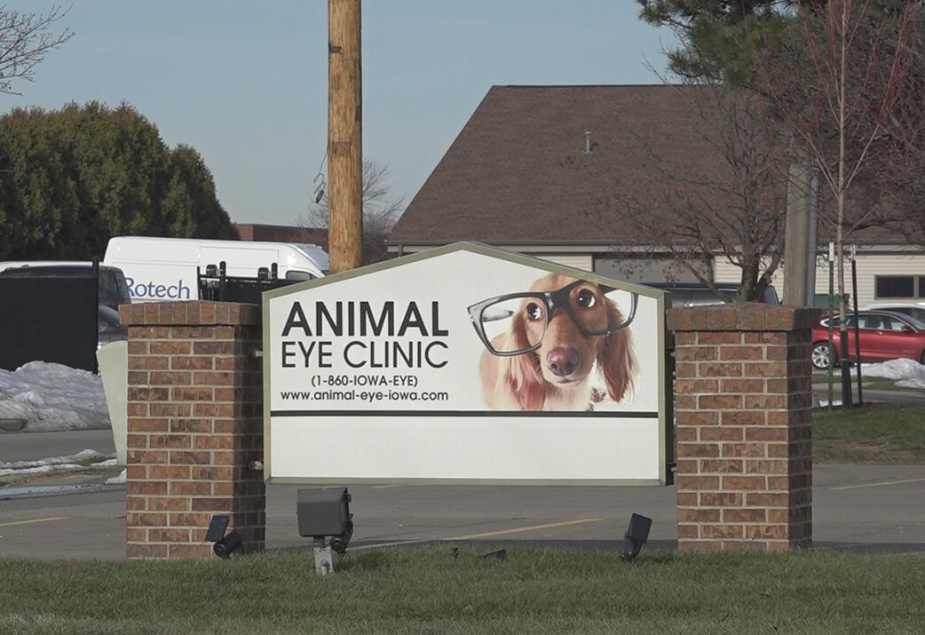 Vet hospital sues insurance company over policy exclusion definition of ...