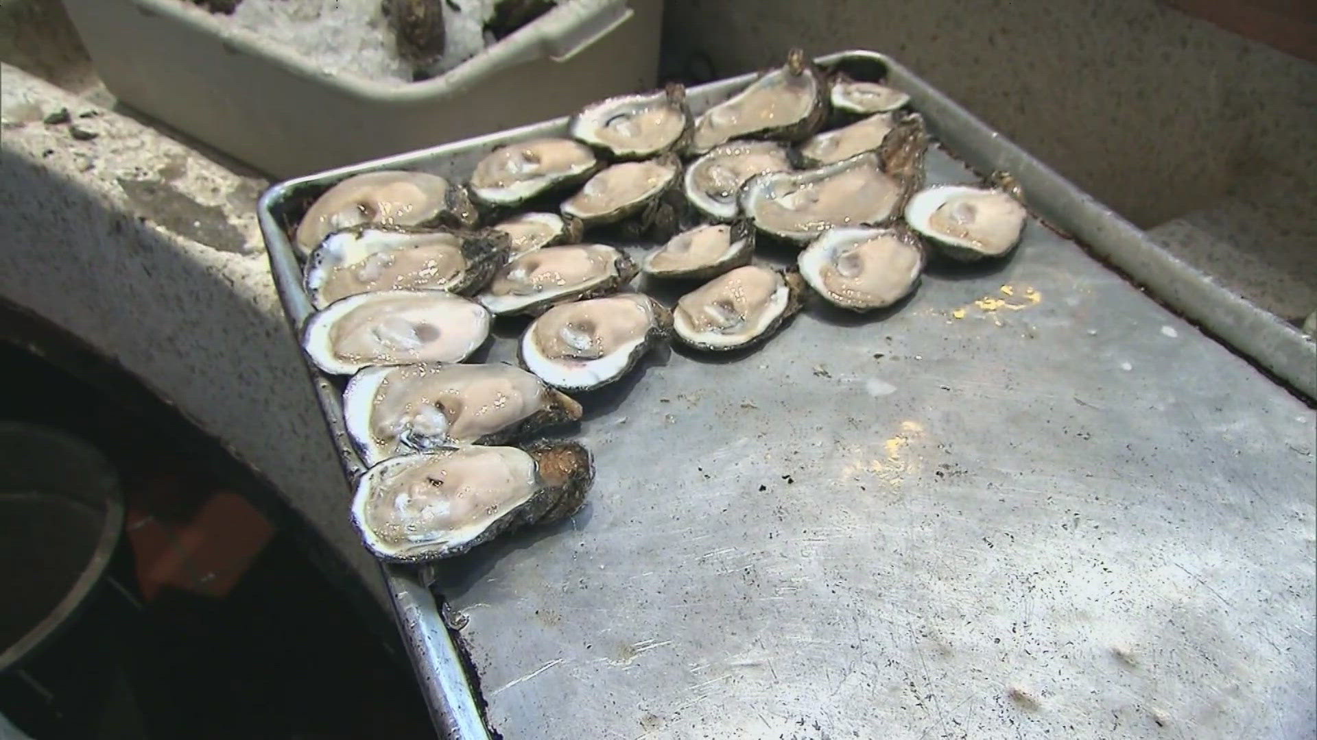 Salmonella outbreak linked to raw oysters sickens over 60 in 22 states ...