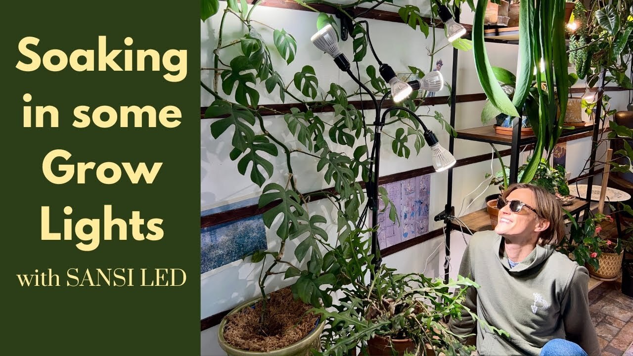 Best brand of grow lights for your money? Using different kinds for ...