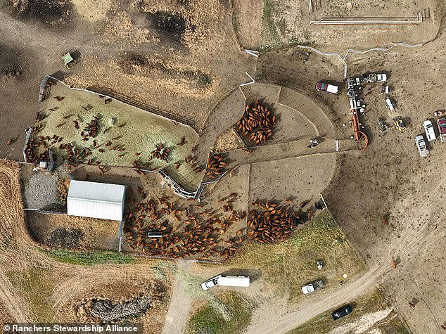 Montana couple make jaw-dropping move to give away $21.6m ranch in move ...