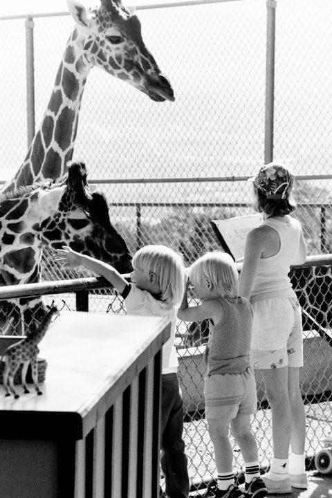 2026 marks 100 years of the Cheyenne Mountain Zoo