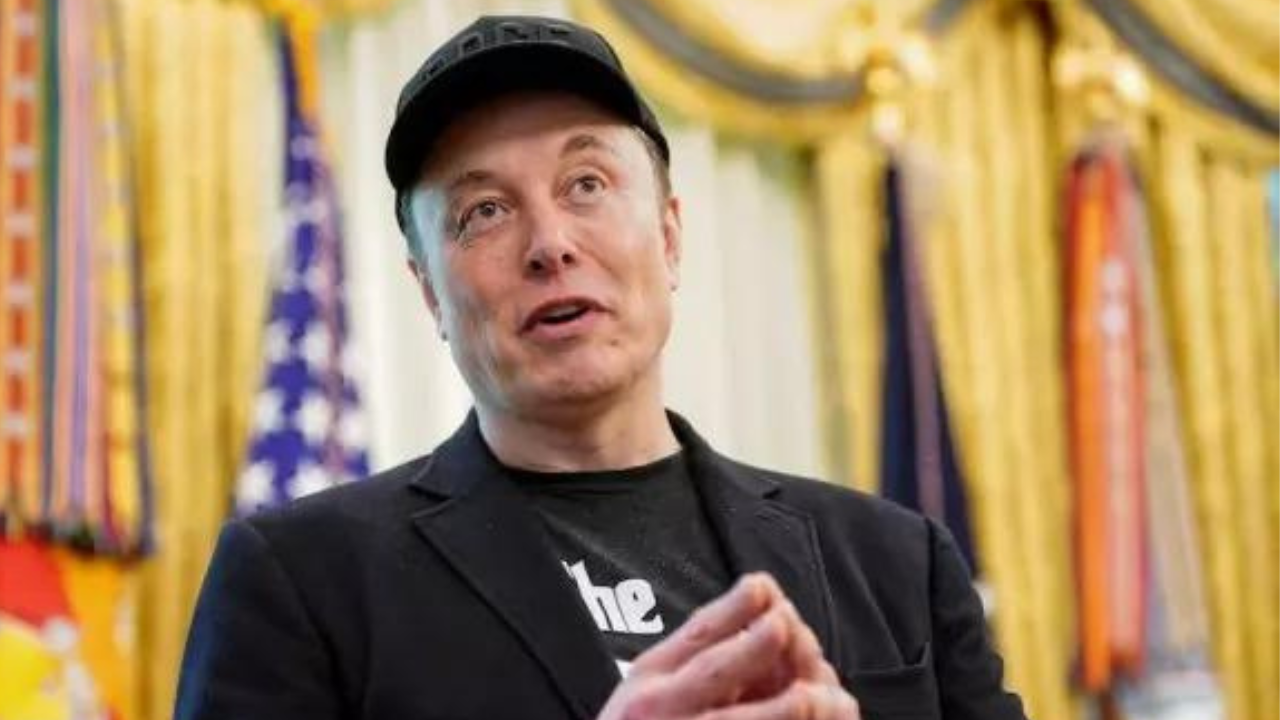 Elon Musk retweets post on Tesla Model Y surviving 800-metre cliff fall ...