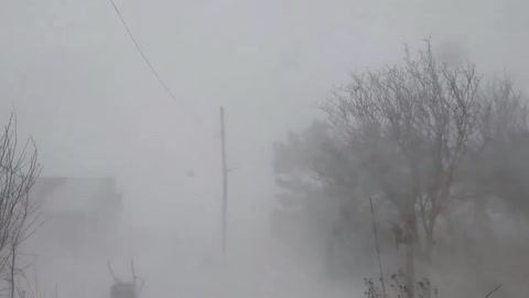 Japan: Blizzard warning issued as severe winter weather grips Hokkaido